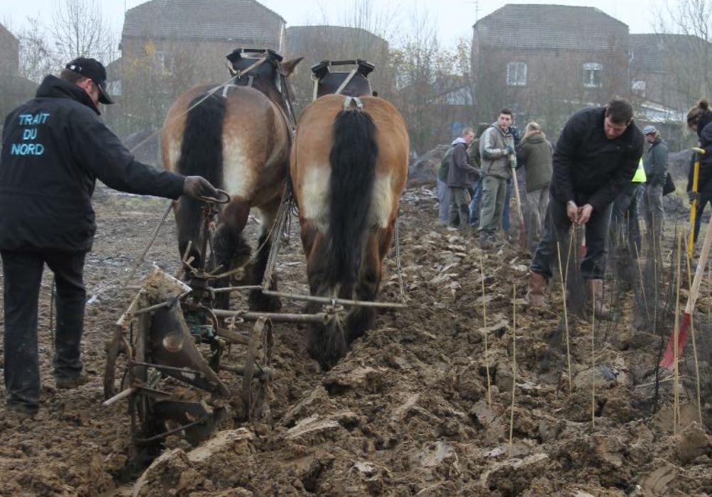Témoignage d’Alan GUILLOU – La Fondation de Lille fête ses 20 ans
